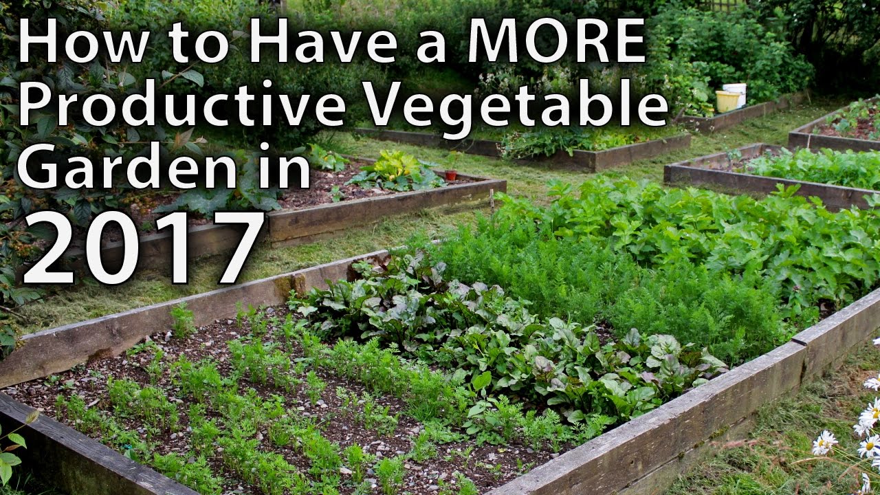 10 Ways to Make your Vegetable Garden More Productive in 2017...and ...